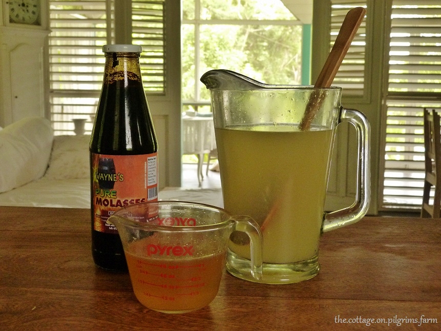 Cottage Life on Pilgrim's Farm: Lime Squash...