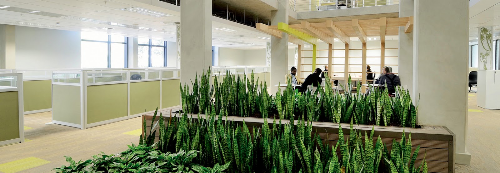 Sustainable Built Environments: DEA Building, One Year On