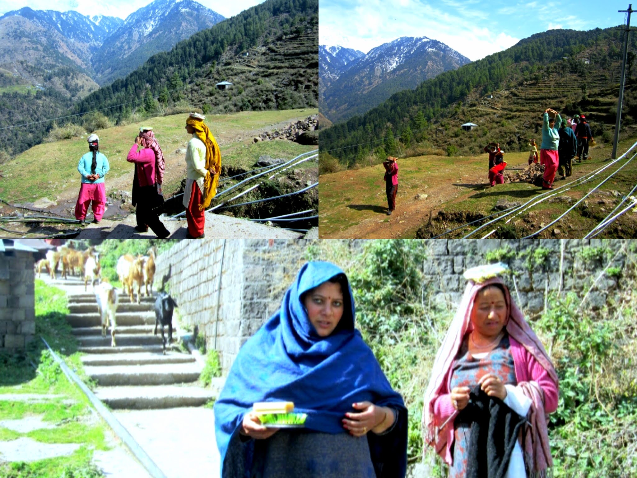 𝗗𝗲𝗹 𝗠𝗮𝗸𝗲 𝗶𝘁 𝗛𝗮𝗽𝗽𝗲𝗻 : The Gaddi Tribe of Naddi Village