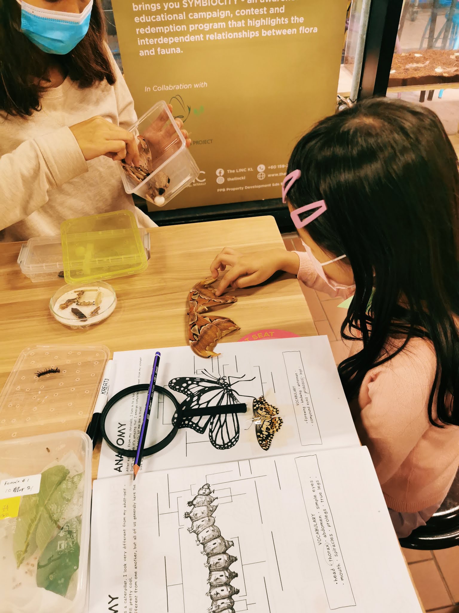 Activities for Kids | The Chrysalis Project MY - Jia Shin Lee