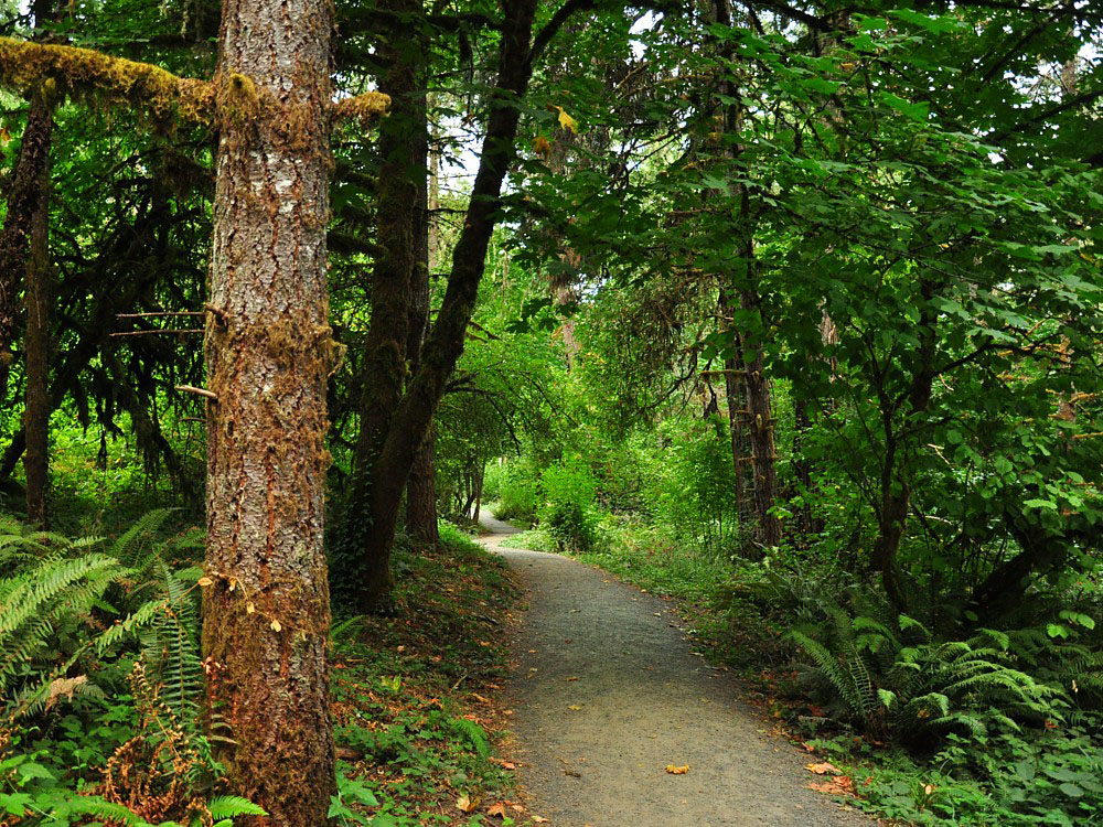 The Intrepid Tourist: HIKING IN THE THURSTON HILLS NATURAL AREA NEAR ...