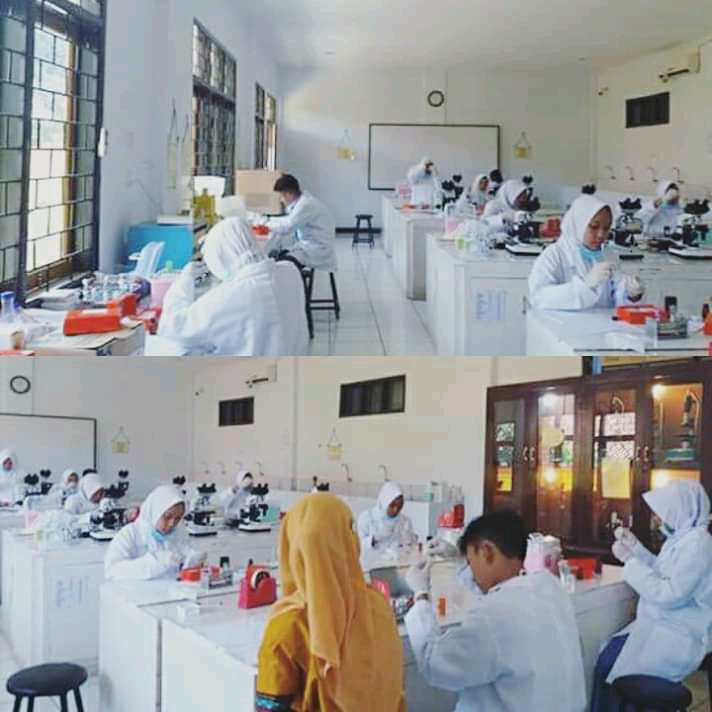 Teknologi Laboratorium Medis