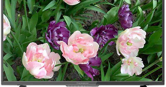 Master Electronics Repair !: REPAIRING / SERVICING TV THOMSON T43D16SF-01B