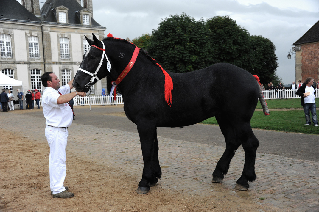Percheron International: Décès De Mr Pascal Vallée