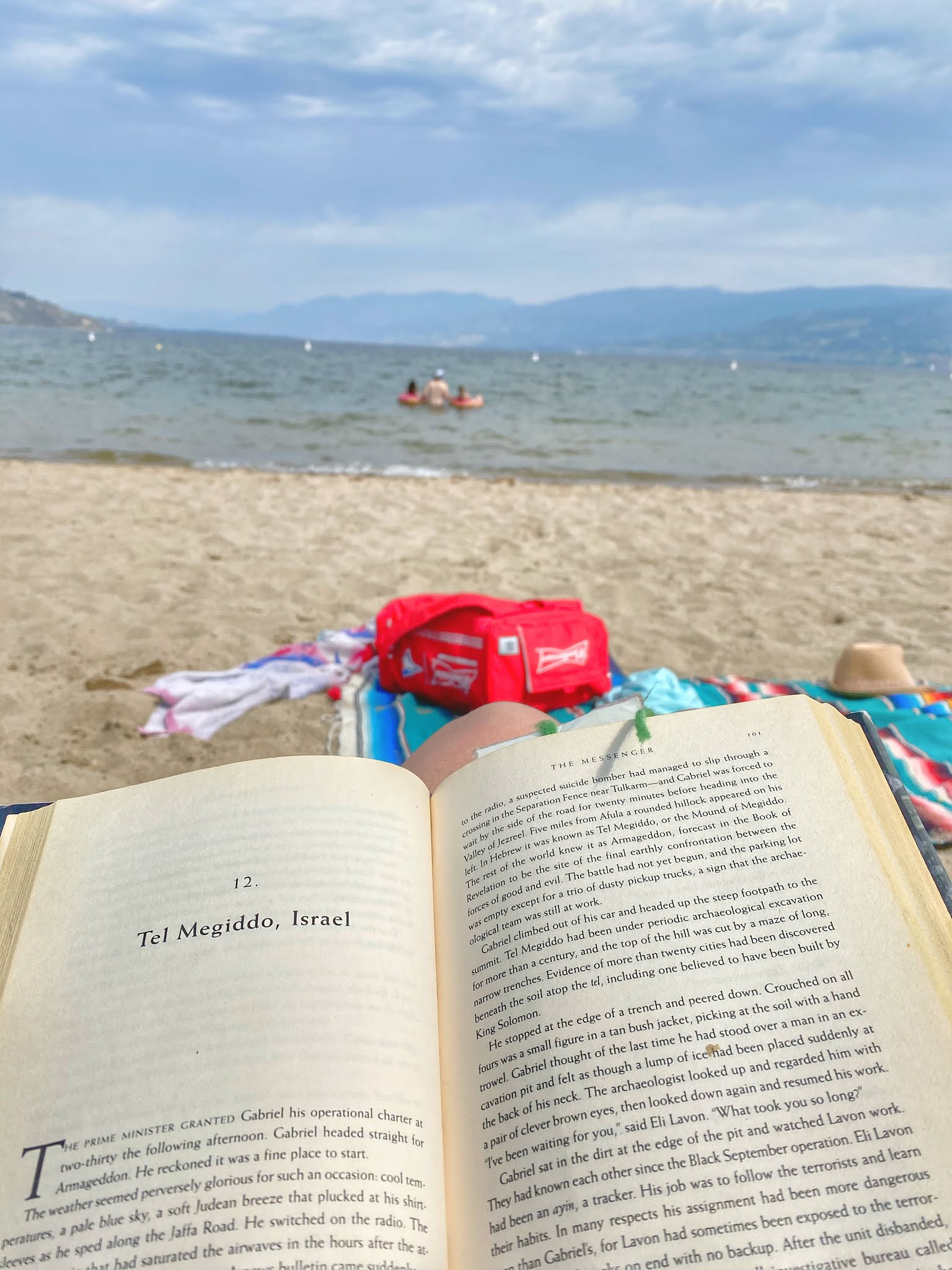 Emo & Cilantro Lime Chicken with Mango Avocado Salsa – Honeybears ...