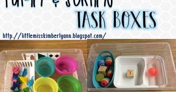 Little Miss Kim's Class: Simple Put-in & Sorting Task Boxes for Special ...