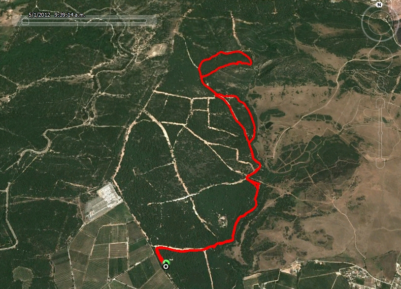 Los Pinsapos - Senderismo y Naturaleza: Recorrido y comida en el Pinar ...