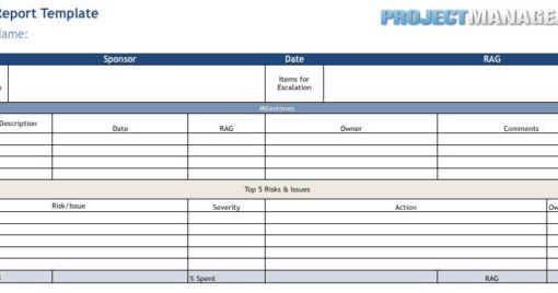Status Report Template - Software engineering