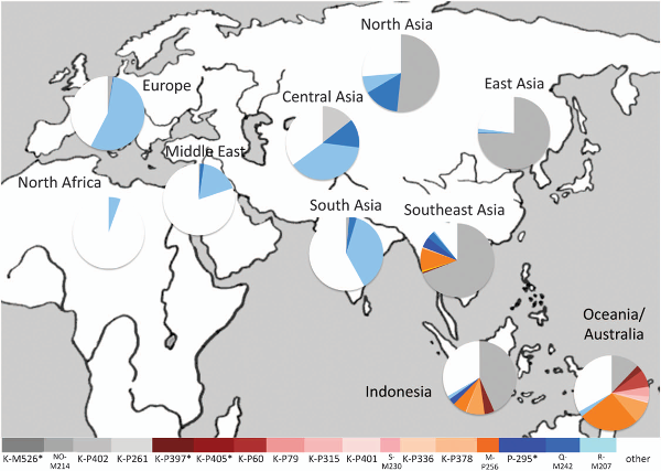 For what they were... we are: Y-DNA macro-haplogroup K-M526 originated ...
