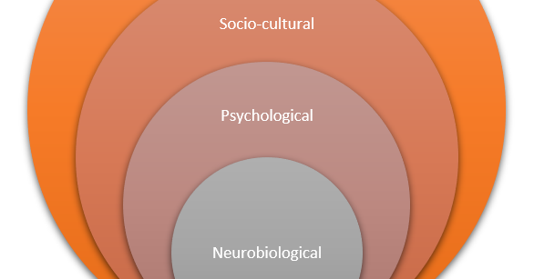 The Social Work Podcast: Bio-psychosocial-Spiritual (BPSS) Assessment ...