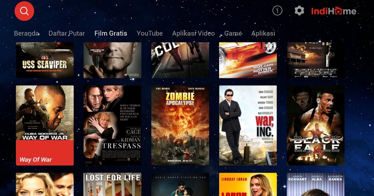 The Characteristic and The Business Model of TV/Video Services