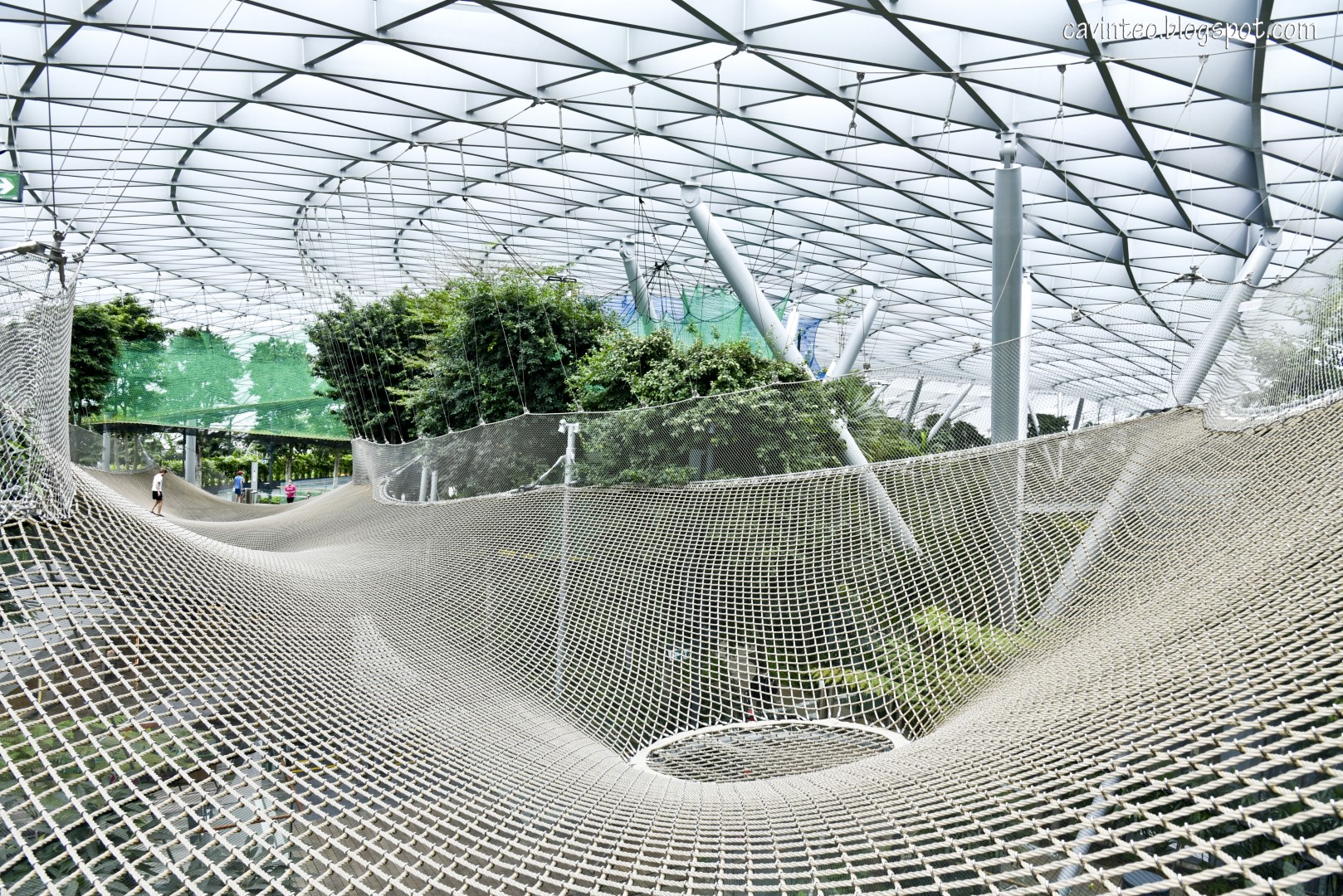 Entree Kibbles: Manulife Sky Nets (Walking) - Challenge Your Fear for ...