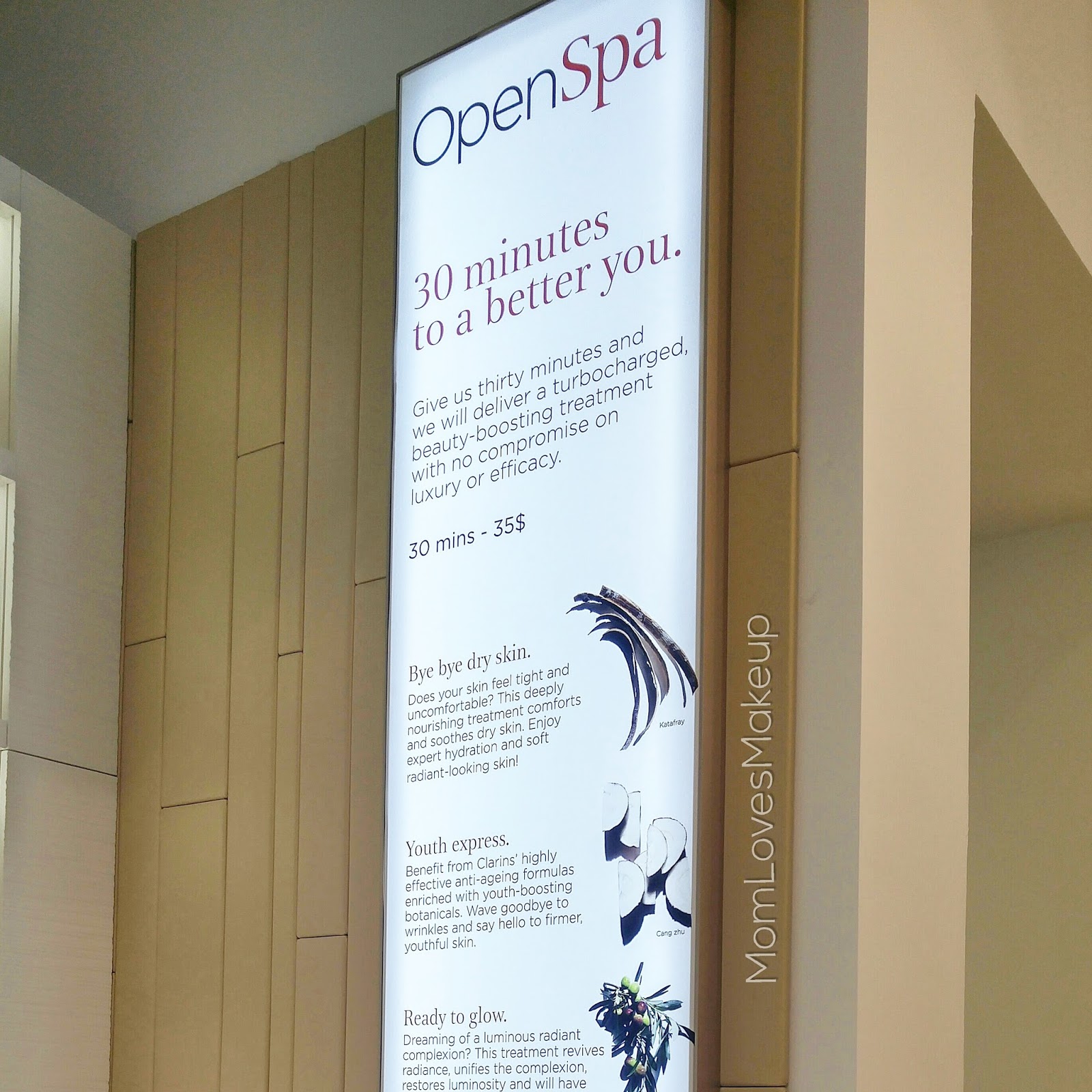 Mom Loves Makeup: Clarins Open Spa, 30 Minutes To A Better You | Grand ...