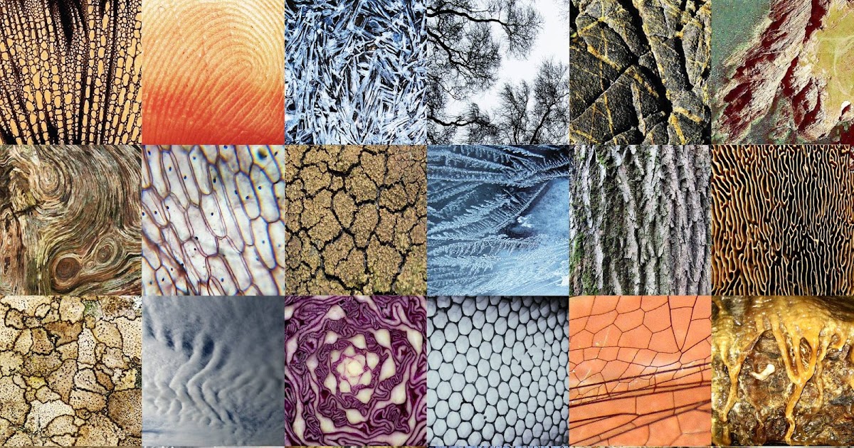 Li - Patterns in Nature