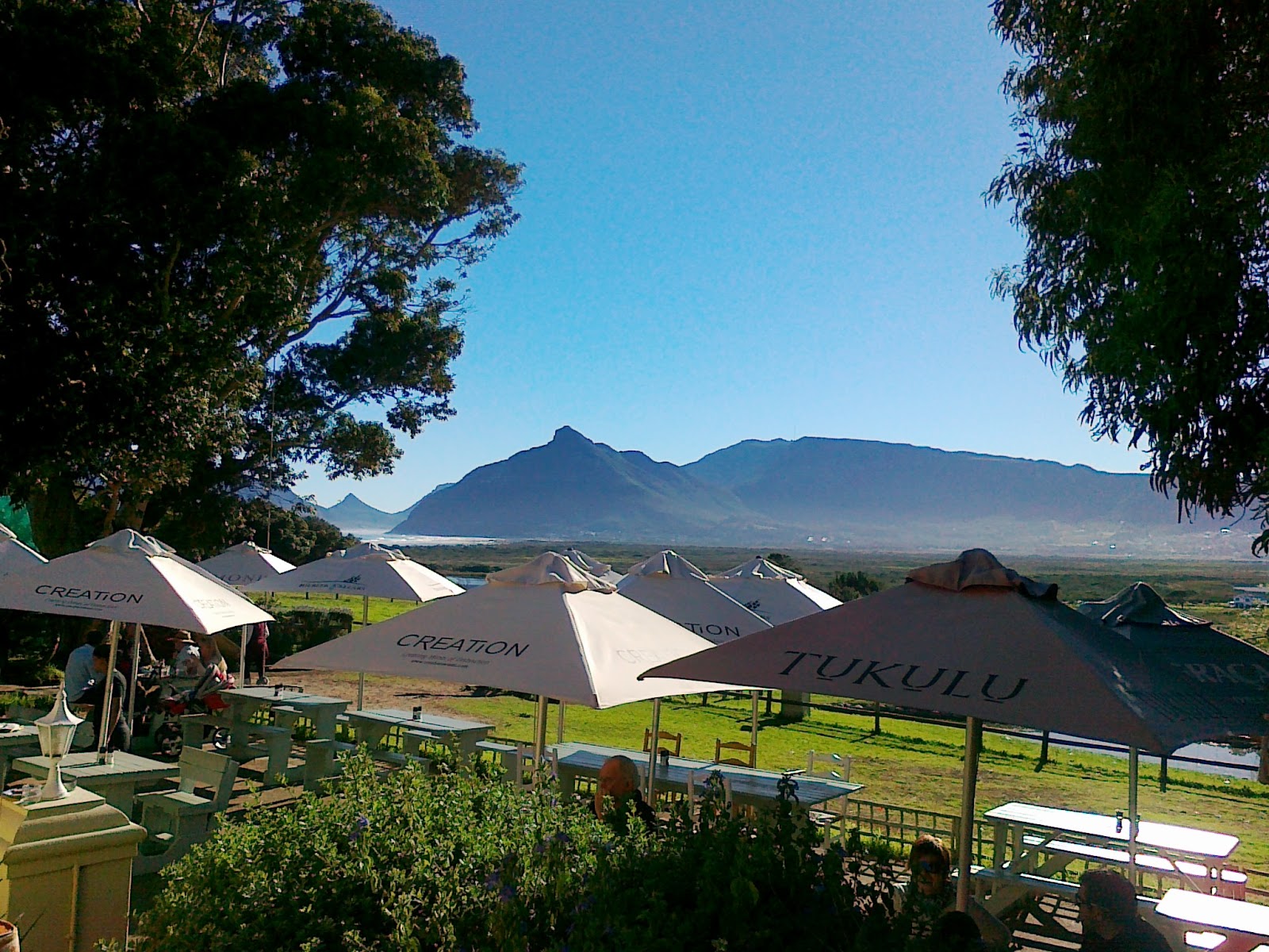 A day in the life: Blue Water Cafe, Imhoff Farm, Kommetjie