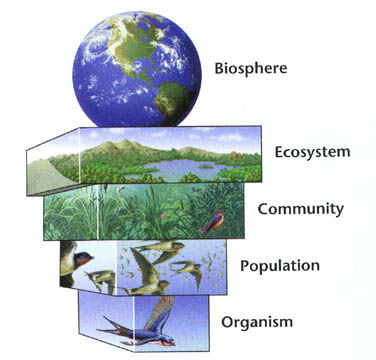 environmentalsupport