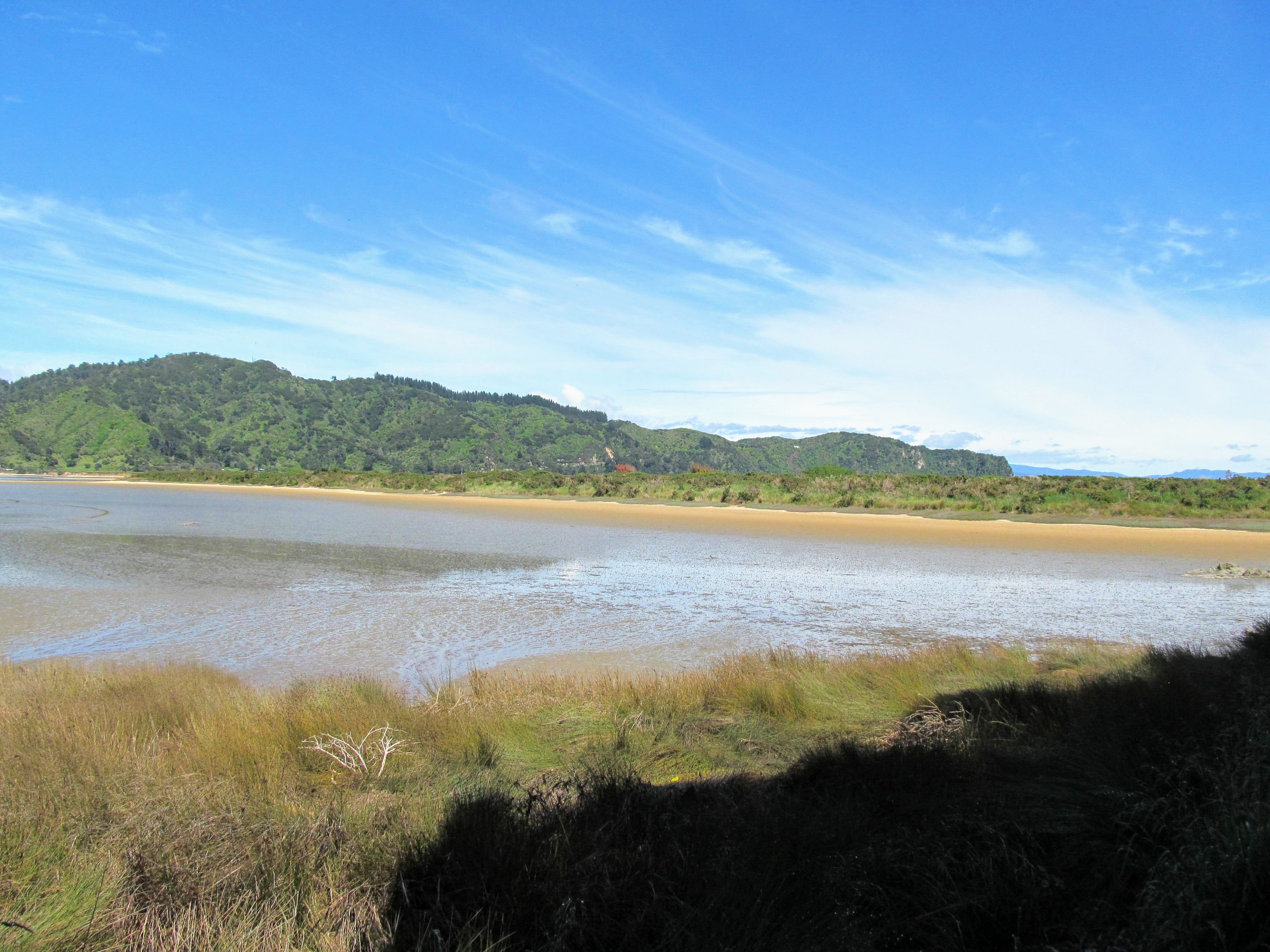 Tramping in the New Zealand backcountry: NZ Bush Adventures: Wainui ...