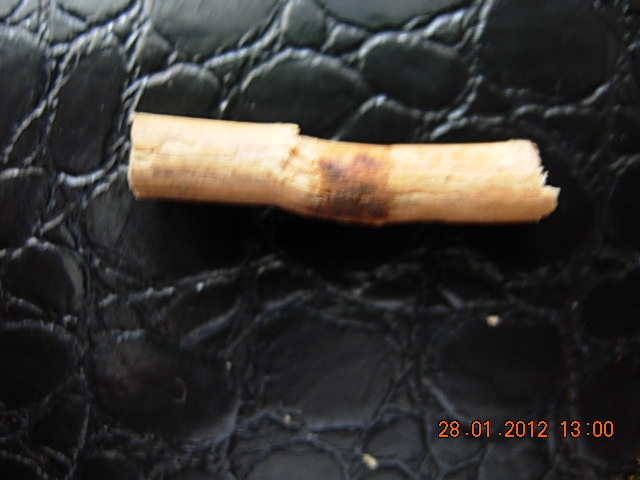 Myth of the Left Handed Samurai: The sword summary and photos