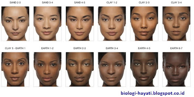 Pengertian, Struktur, Fungsi dan Jenis-jenis Kulit Manusia