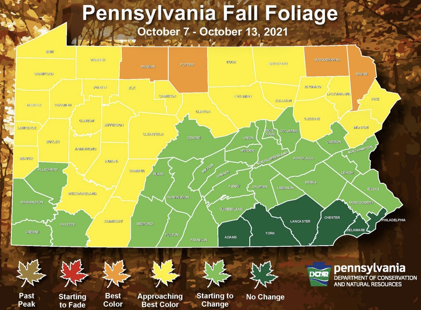 PA Environment Digest Blog: DCNR’s 2nd Fall Foliage Report: North Of I ...