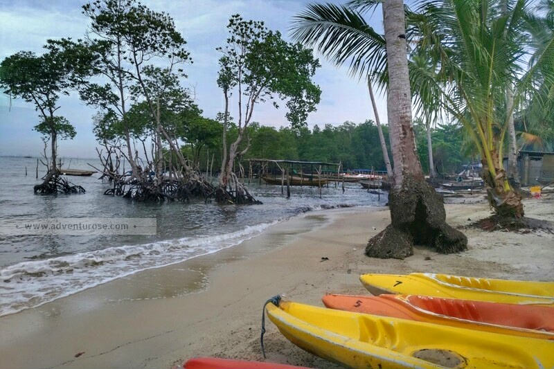 Adventurose | Because Life is an Adventure: Piknik Rame-Rame di Pantai ...