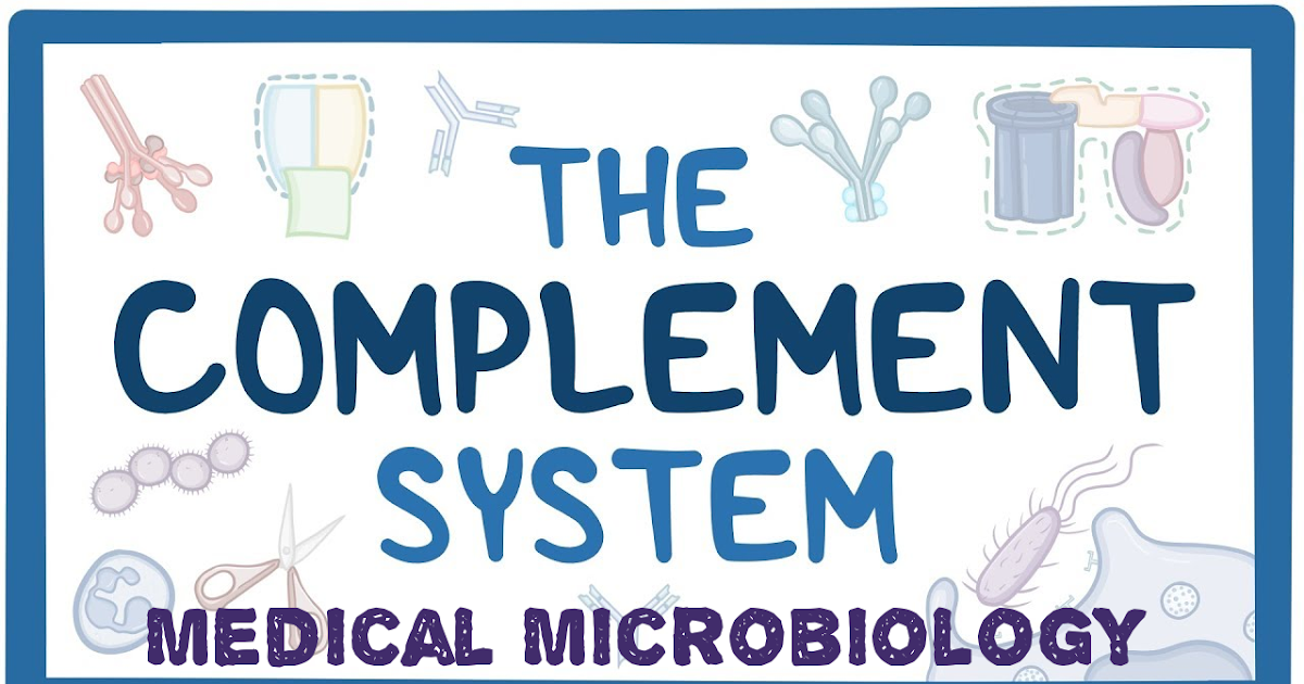 complement system -Is complement system innate or adaptive immunity ...