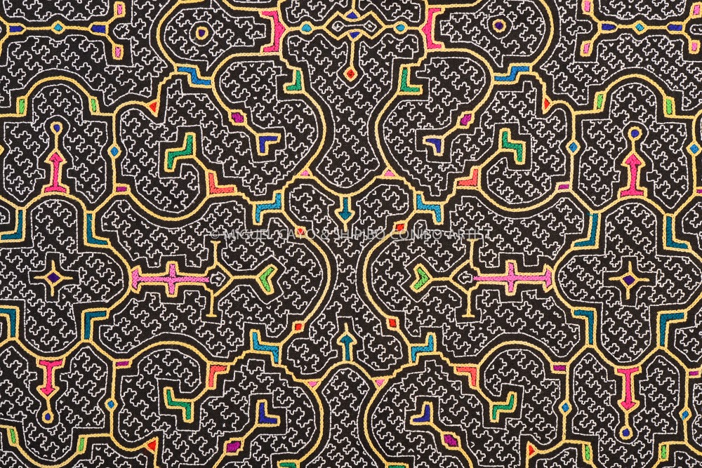Ayahuasca y el Arte Shipibo