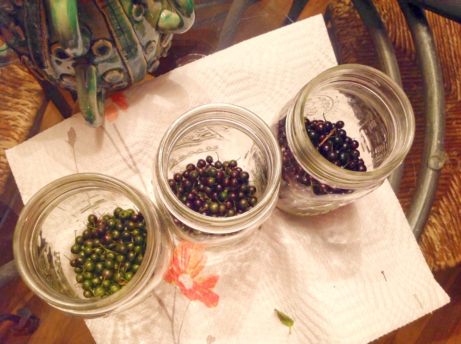 Medieval Whimsies: Sap Green from Buckthorn Berries (Part 1)