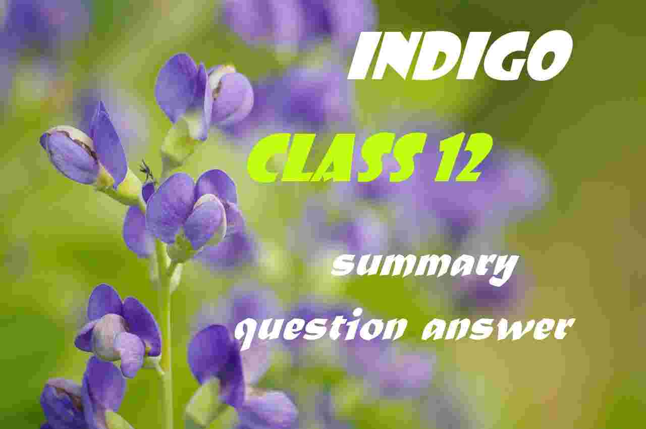 INDIGO Question-Answer | Summary Class 12 | Important Q