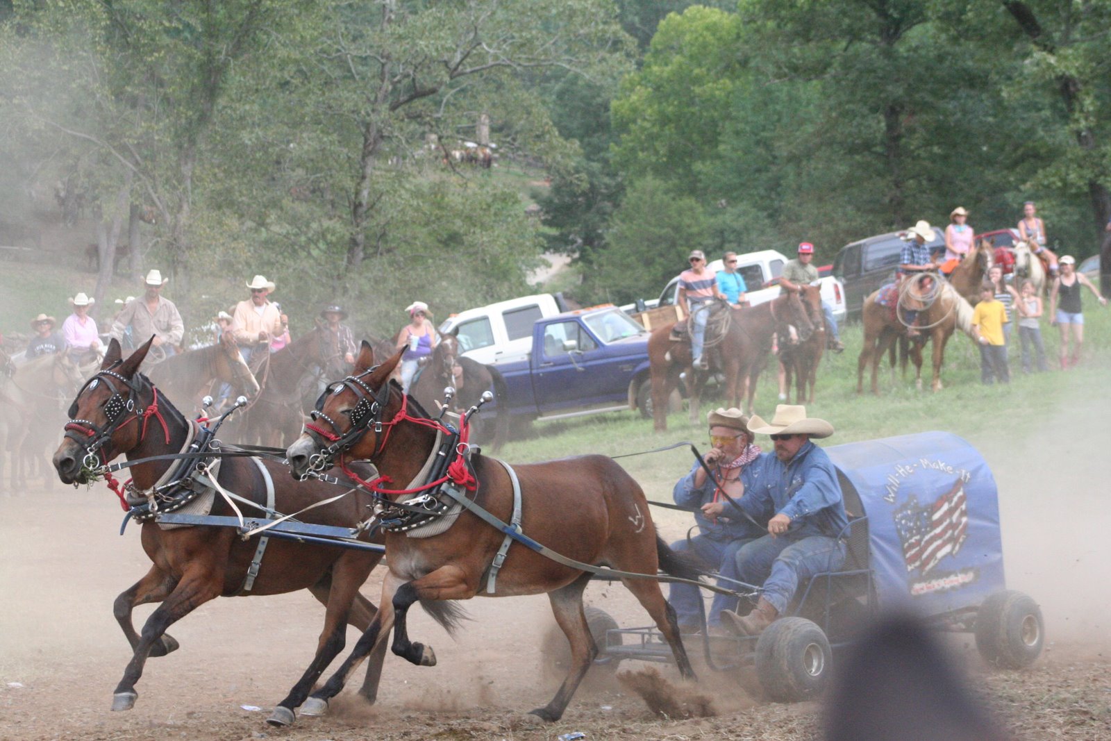 PairADice Mules: Big Mule Race Saturday