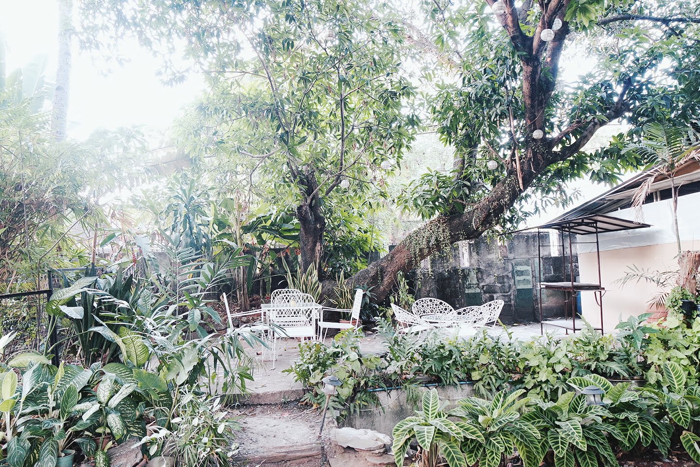FOODTRIP(92): Greg and Sally Tree Garden Cafe | pinkislovebynix