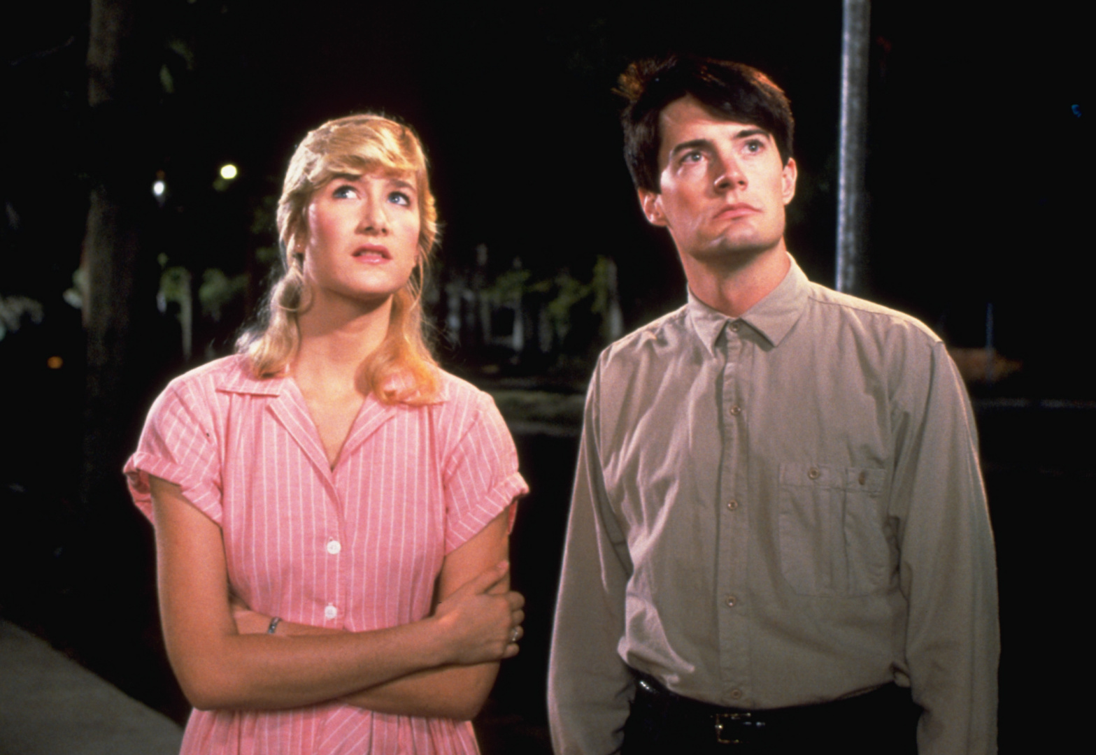 WEIRDLAND: David Lynch: Wisteria (Unrecorded Night) in the works, An ...