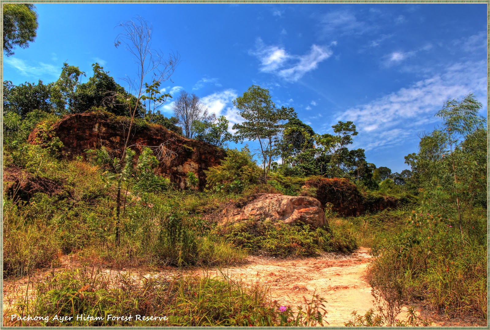 Story of My Life: Bukit Ayer Hitam Forest Reserve