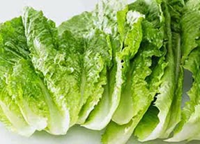 Top 15 Priority Vegetable Crops in the Philippines - List 2