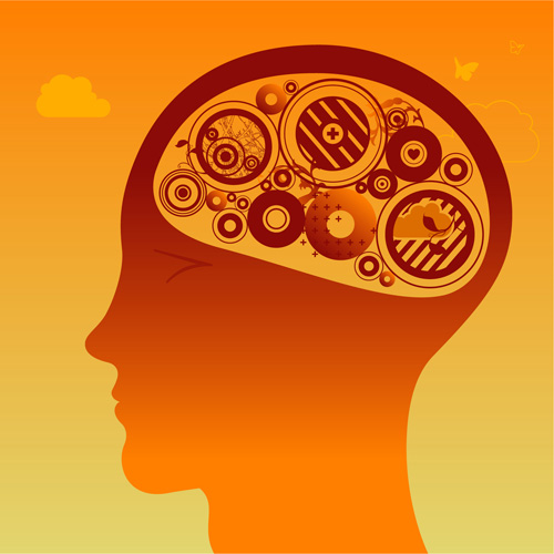 French Vocabulary Illustrated: caboche