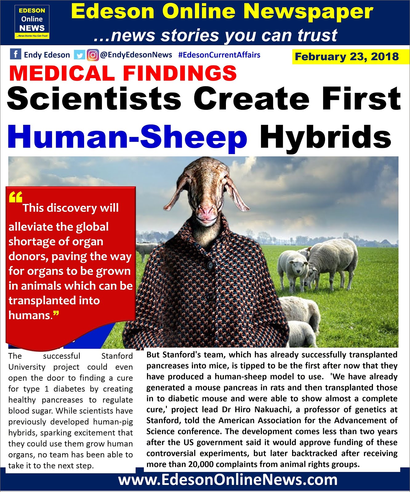 Edeson Online News: Scientists Create First Human-Sheep Hybrids