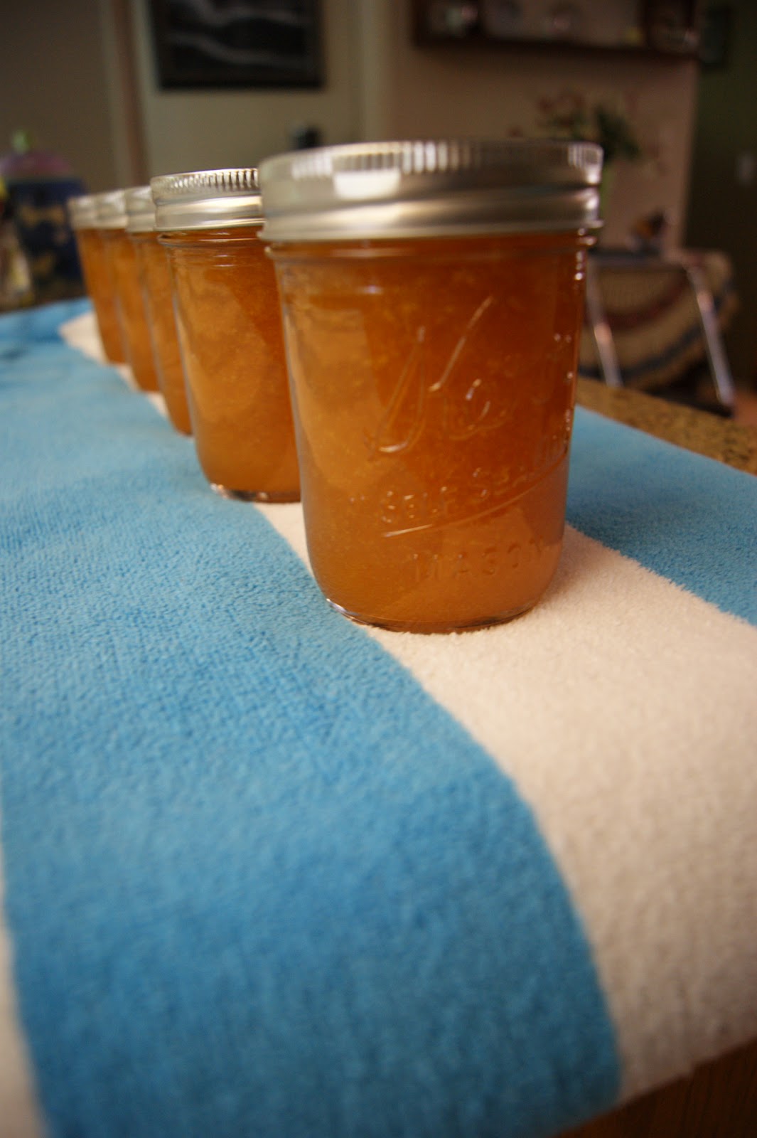 Canarella : Apricot Butter