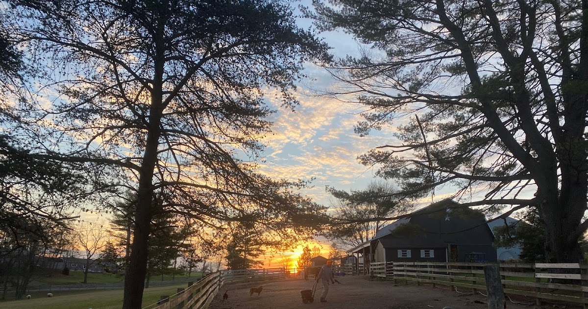 Bee Haven Acres... Tales From The Farm