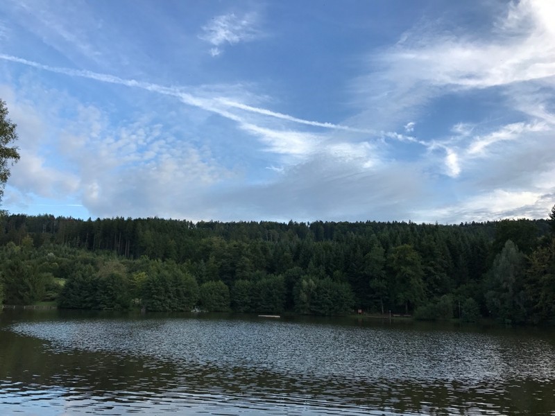 Reitfreizeit im Wilhelm-Traub Haus : Tag 4