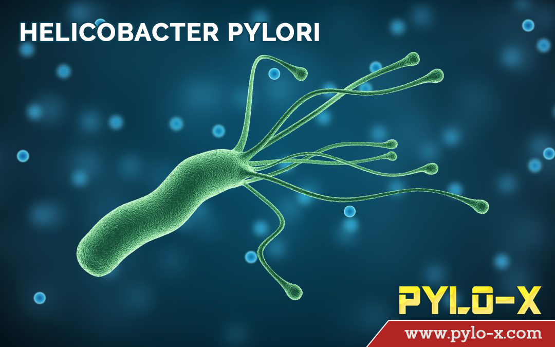 h. pylori treatment - PYLO-X: Your Guidebook to Helicobacter Pylori Disease
