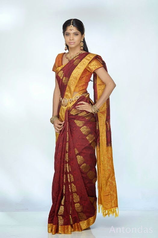 Actress Divya Photo session in saree