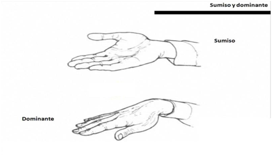 Lenguaje Corporal: Lenguaje Corporal de las Manos