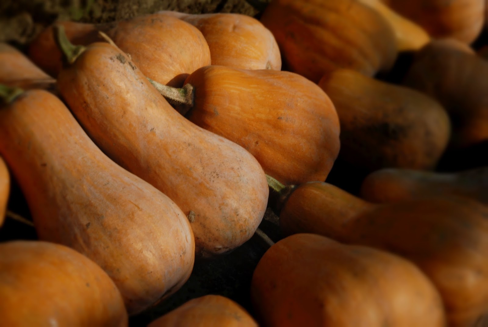 BAKED PUMPKIN - THE SMELL OF AUTUMN ~ Macedonian Cuisine