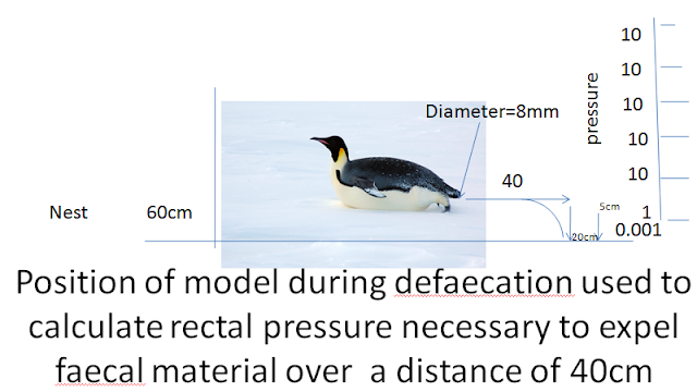 Mathematics Education: Mathematical Theory of Everything
