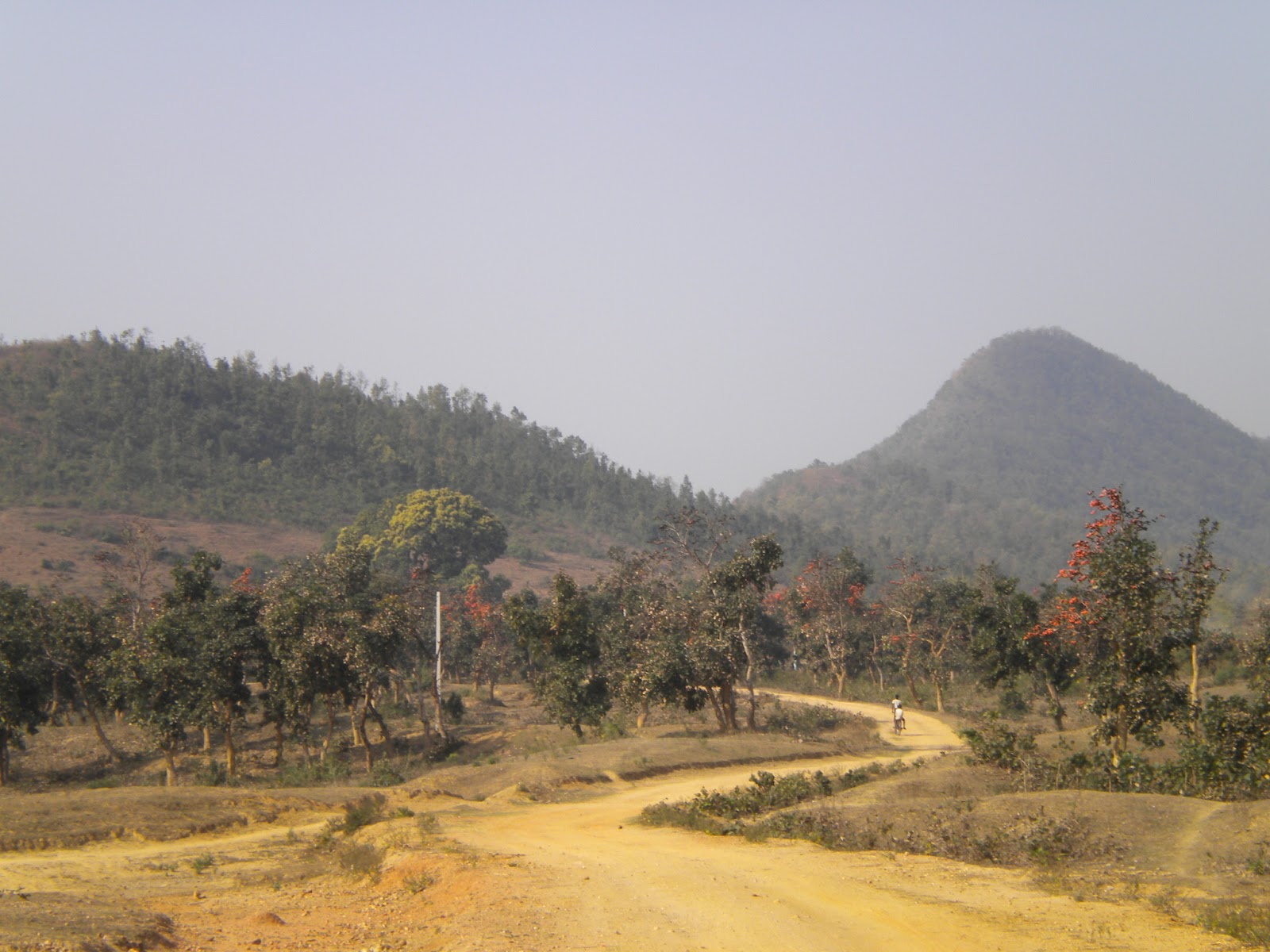 BARANTI PALASHBARI ( পলাশবাড়ি )