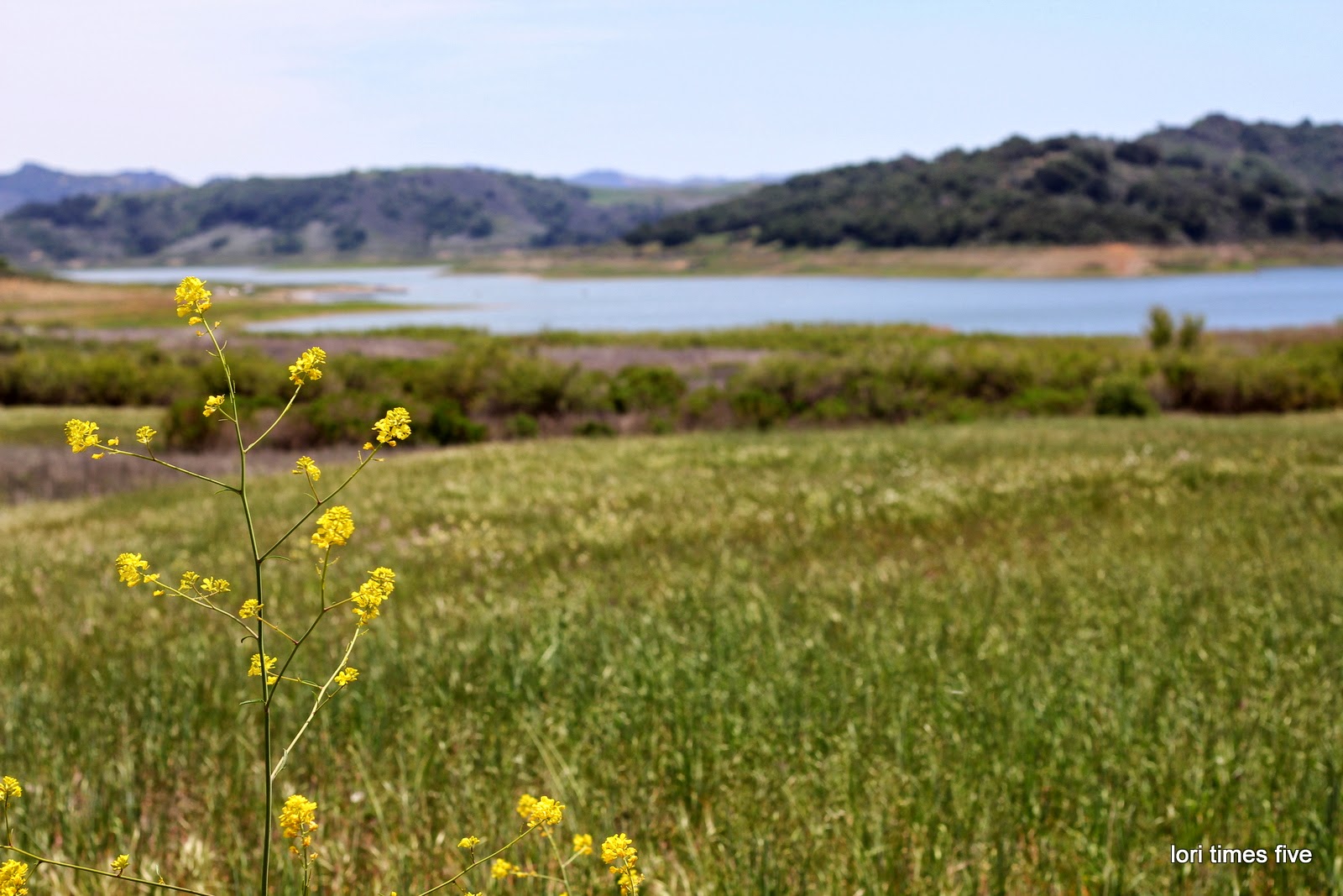 lori times five: the things they made