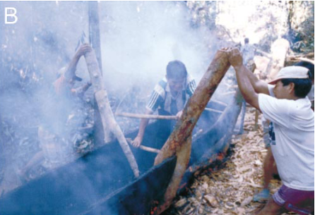 Indigenous Boats: The Survival of the Log Canoe