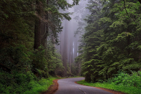 Right of way (ROW) of Road - Engineering TiCh