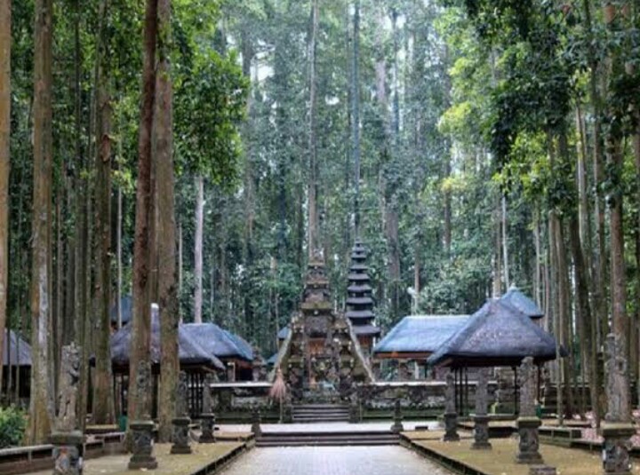 Sangeh Bali Monkey Forest 2023 - Gambar, Harga Tiket Masuk, Daya Tarik ...
