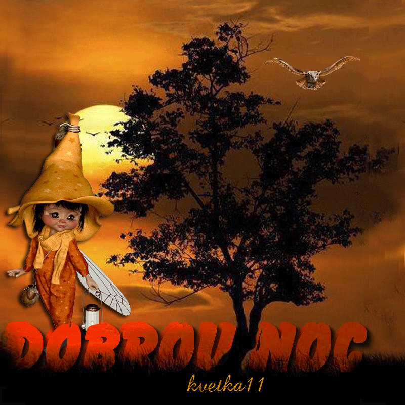 kvetka11: Dobrou noc